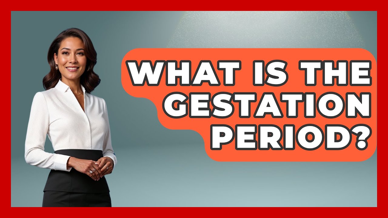 What Is The Gestation Period? - Women's Health and Harmony - YouTube
