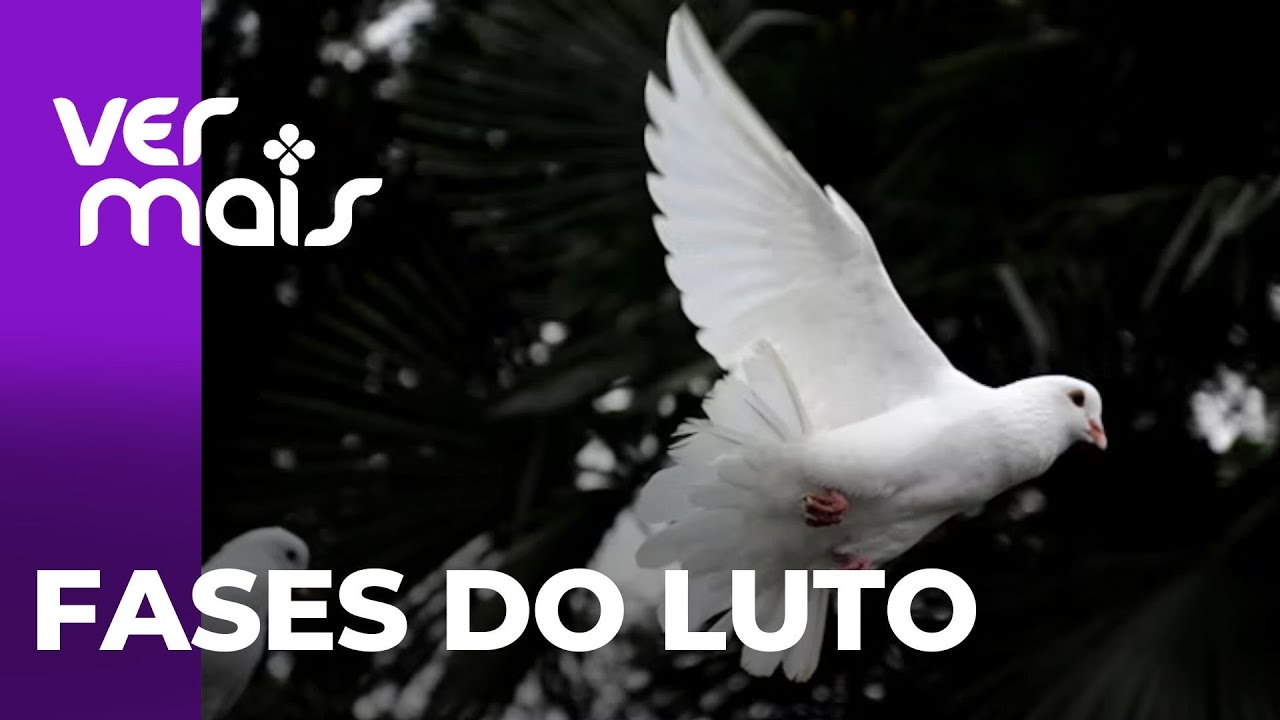 Fases do luto: Os estágios e como lidar com a perda - YouTube