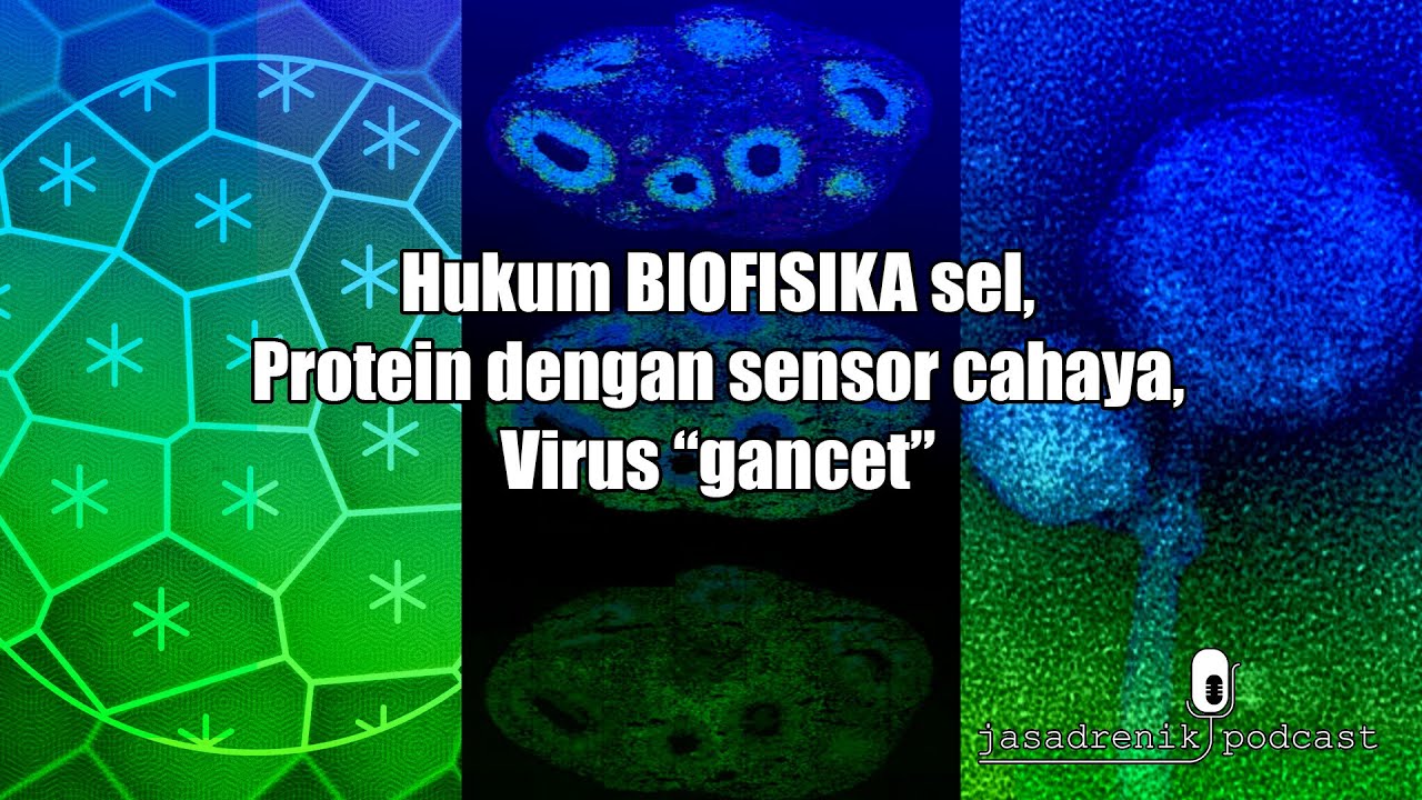 Hukum biofisika sel, Protein dengan sensor cahaya, dan Virus "gancet ...