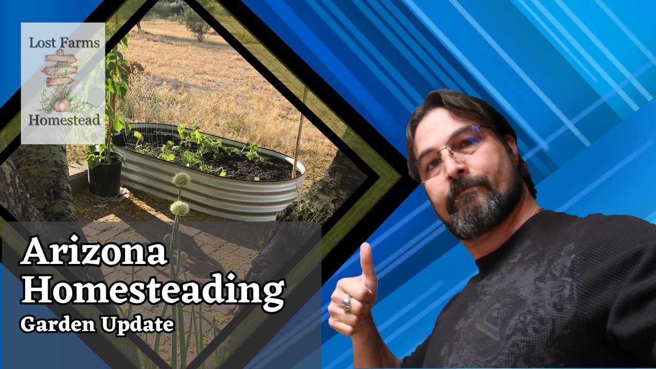 Episode 143: Arizona Homesteading (Garden Update) - YouTube