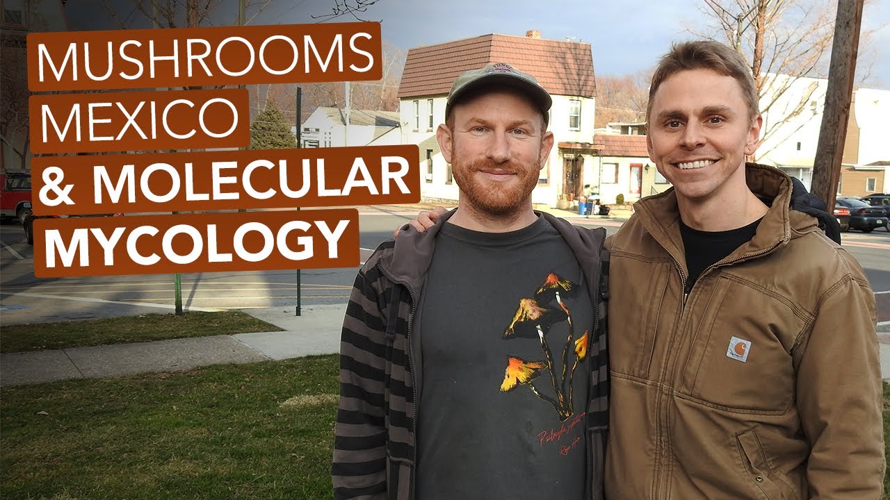 Mushrooms, Mexico, & Molecular Mycology with Alan Rockefeller - YouTube