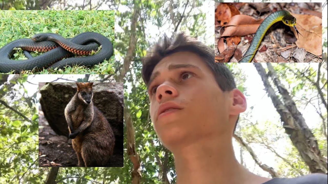 Steve Tuckey's Instagram, Twitter & Facebook on IDCrawl