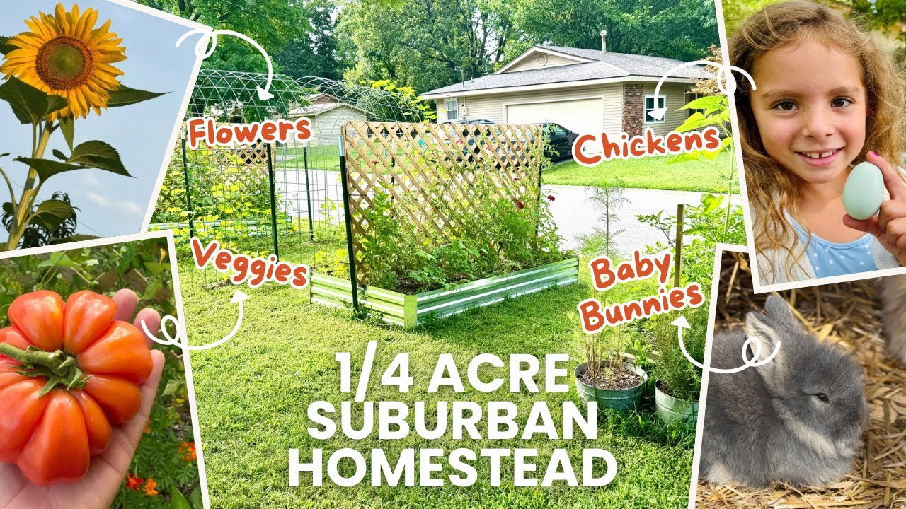 Micro Homestead: 1/4 Acre of Pure Joy - YouTube