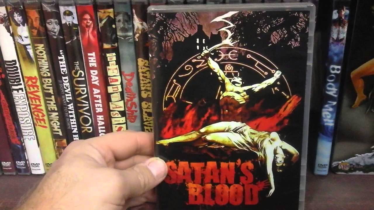 Horror DVD Collection- Shelf 15 - YouTube