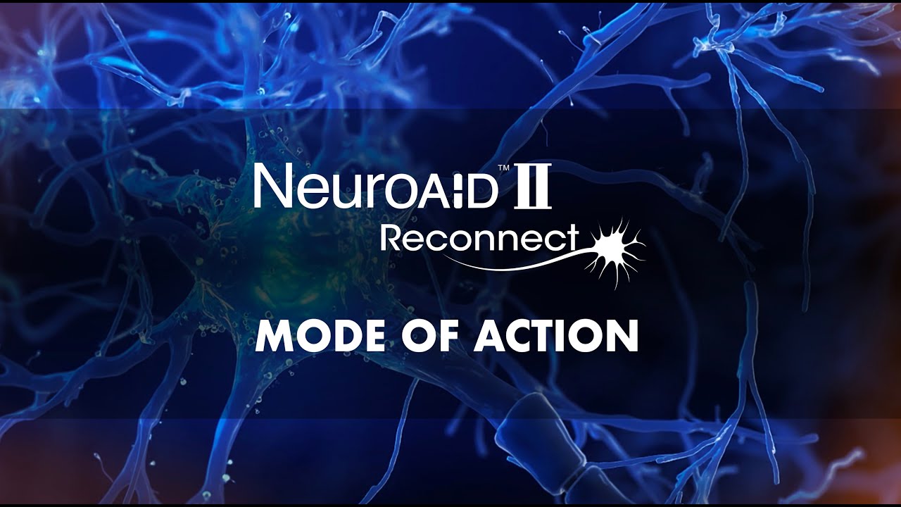 NeuroAiD - Mode of Action - YouTube