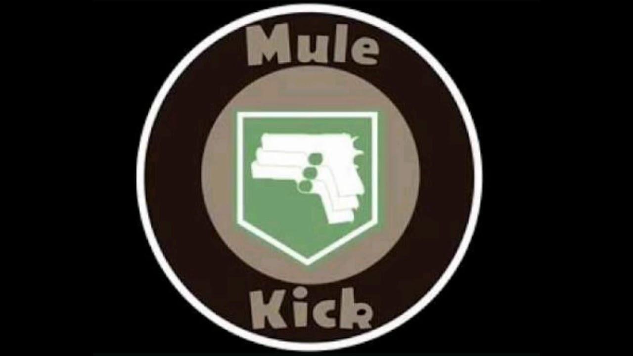 Call Of Duty Zombies-Mule Kick Perk-Song *NEW* - YouTube