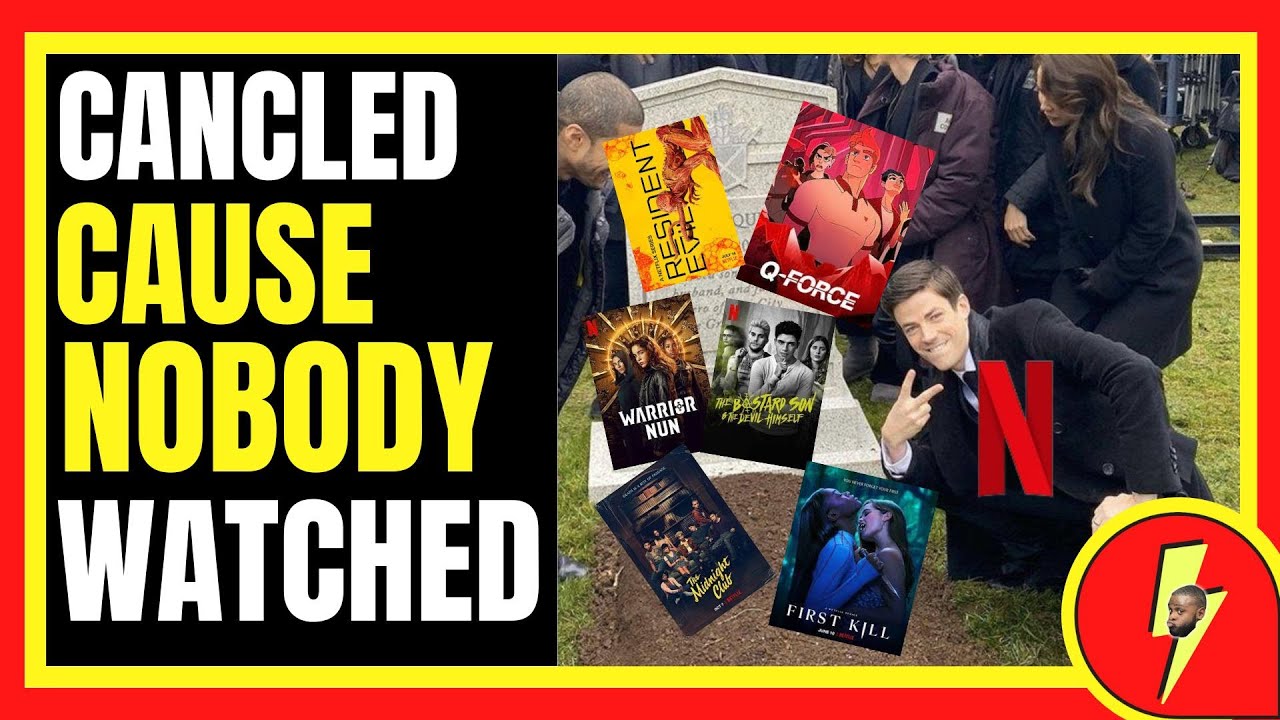 Netflix Says They Have Never Canceled A Good Series | Nobody Watched ...