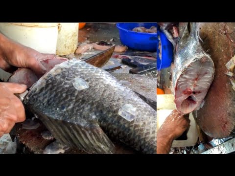 OMG| 4KG BIG YUMMY FISH CUTTING LIVE #fishcutting_skills - YouTube