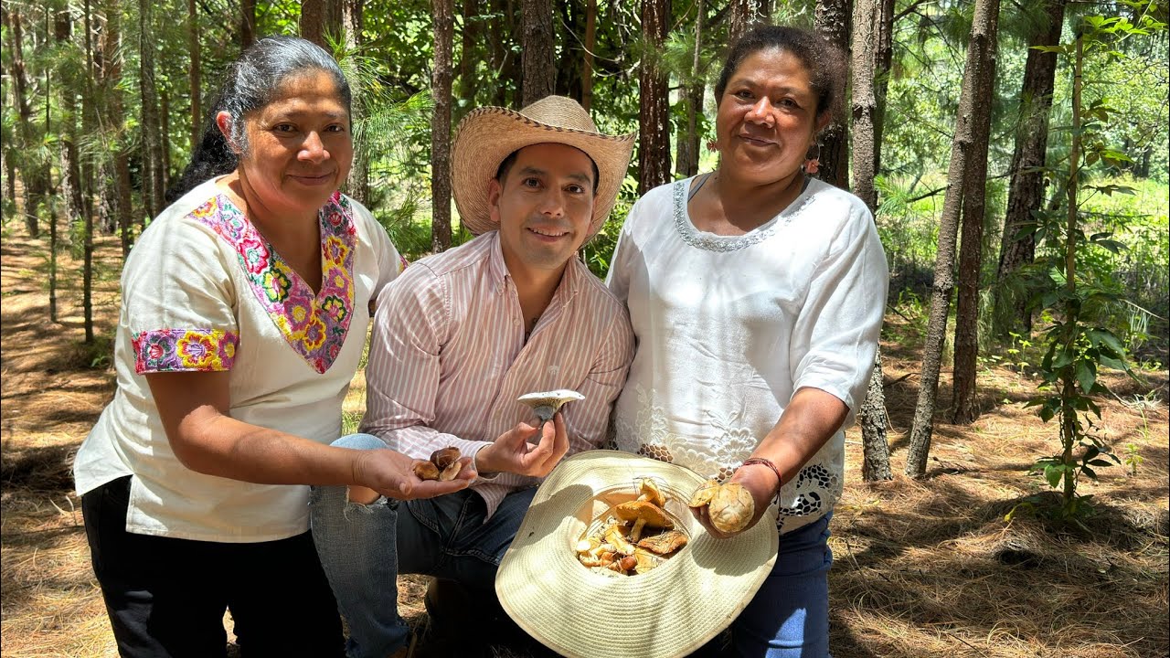 HONGOS SILVESTRES COMESTIBLES | Clavitos, pomposos y borrego azul - YouTube