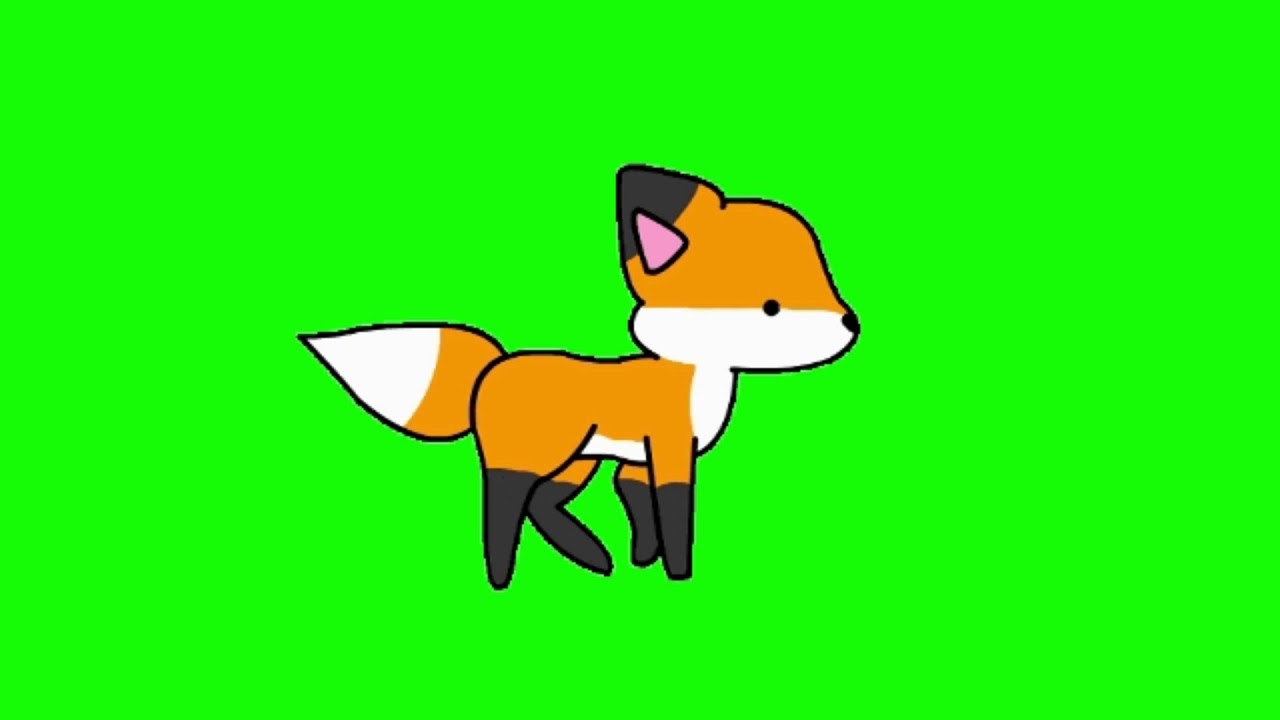 Beautiful fox in green screen - YouTube