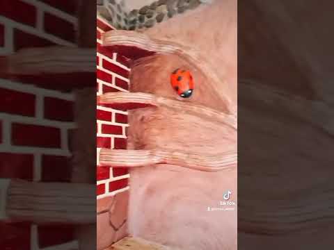 semet palciqindan dekarativ el.isim.isteyen sifaris ede biler