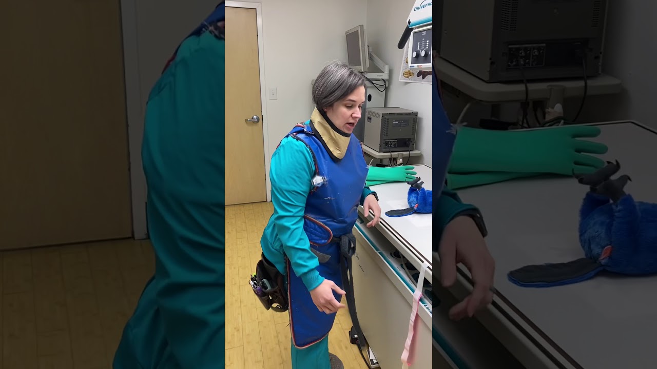 Bird restraint for x Ray revision video - YouTube