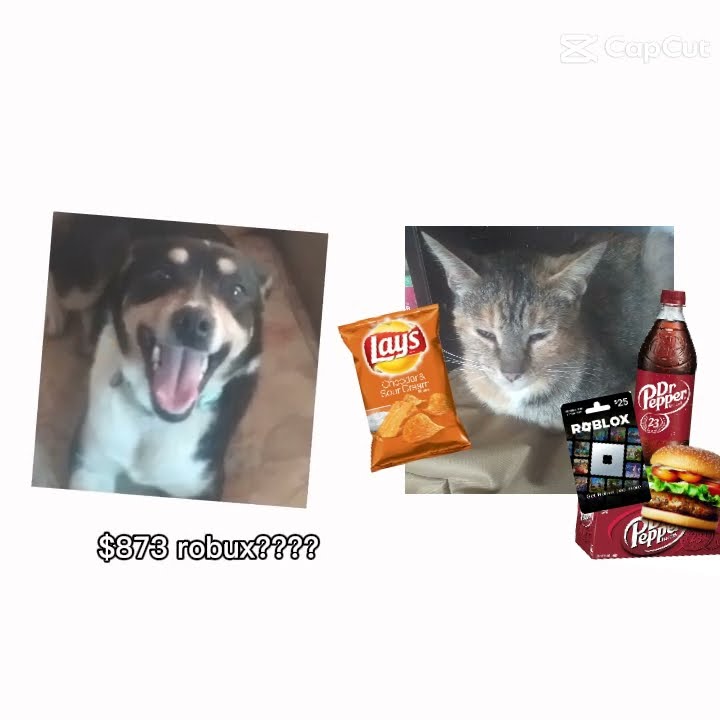 you left me in WCUE!/POV: you got robux and you spent it all on *WCUE ...