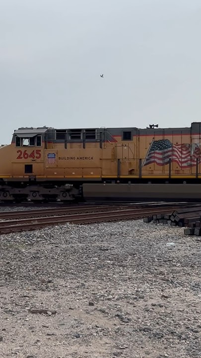UP 2645 Tier 4 With New Paint Scheme Power Leads Manifest Train #unionpacific - YouTube