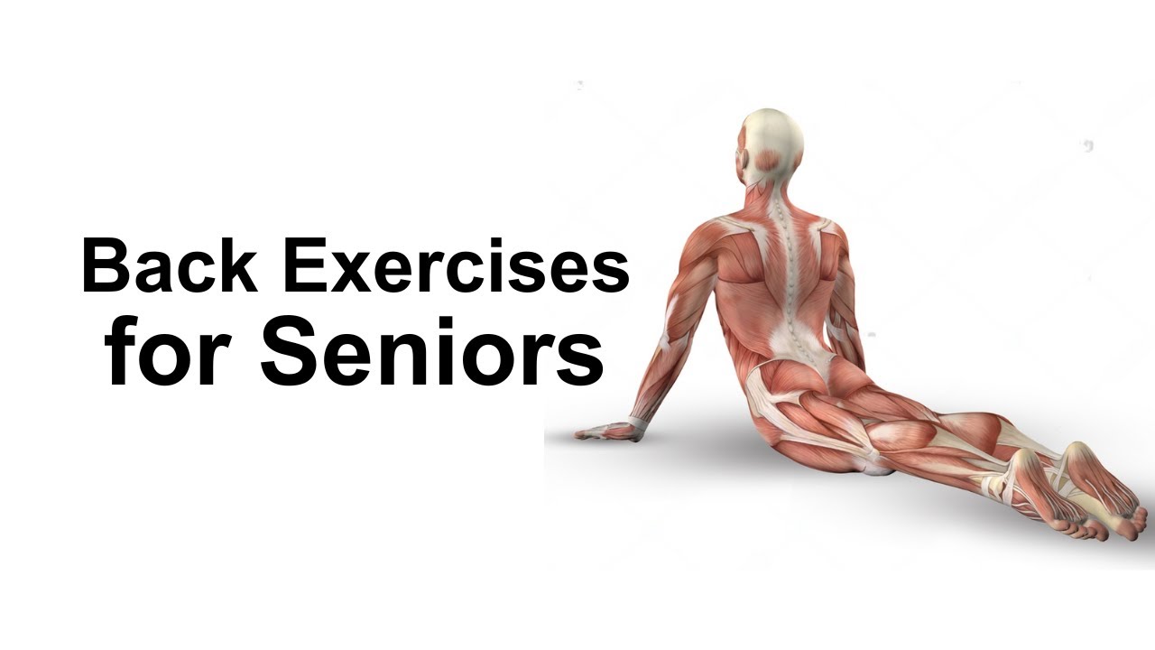 Back Exercises for Seniors - YouTube
