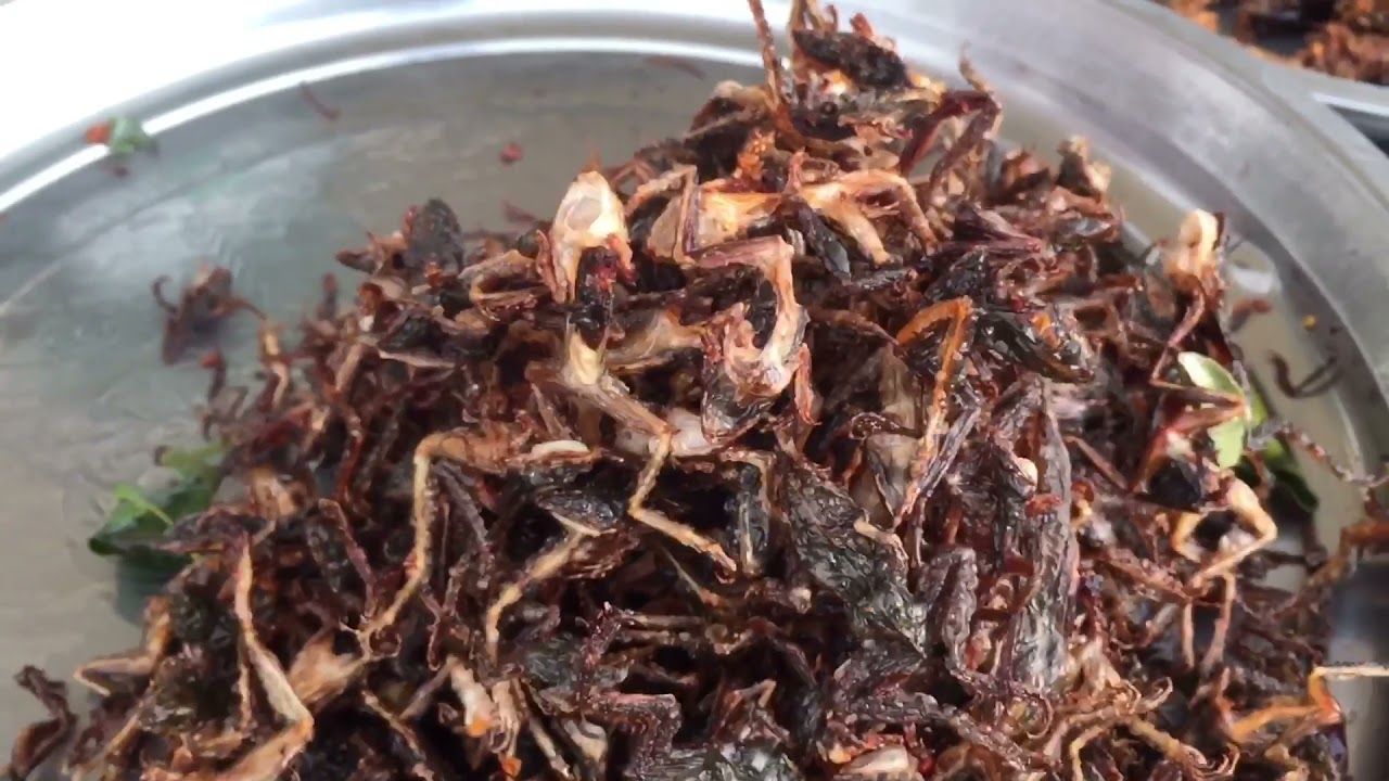 ចង្រឹតបំពង Street food deep fried cricket 🦗 - YouTube