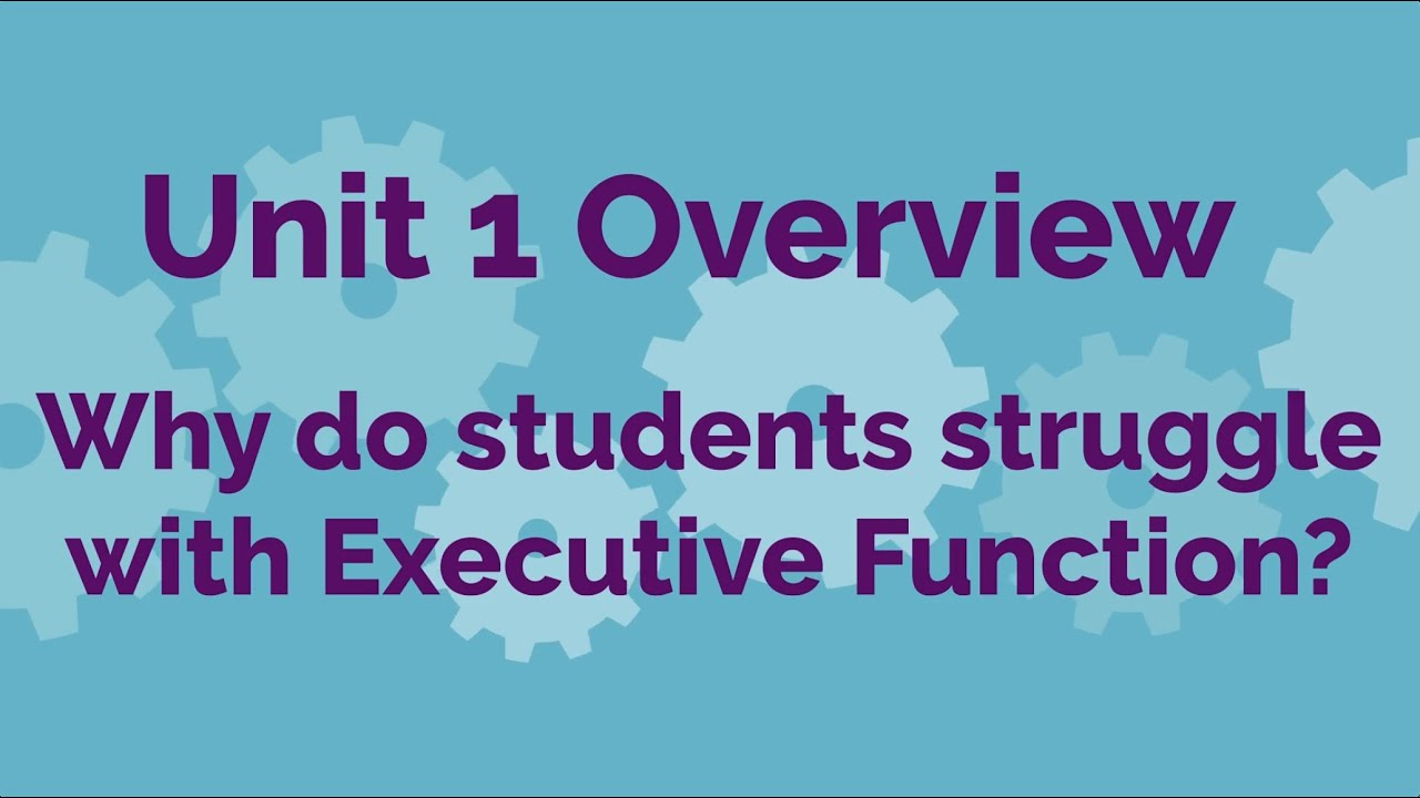 SMARTS Classic Executive Function Curriculum Unit 1.2 Overview - YouTube