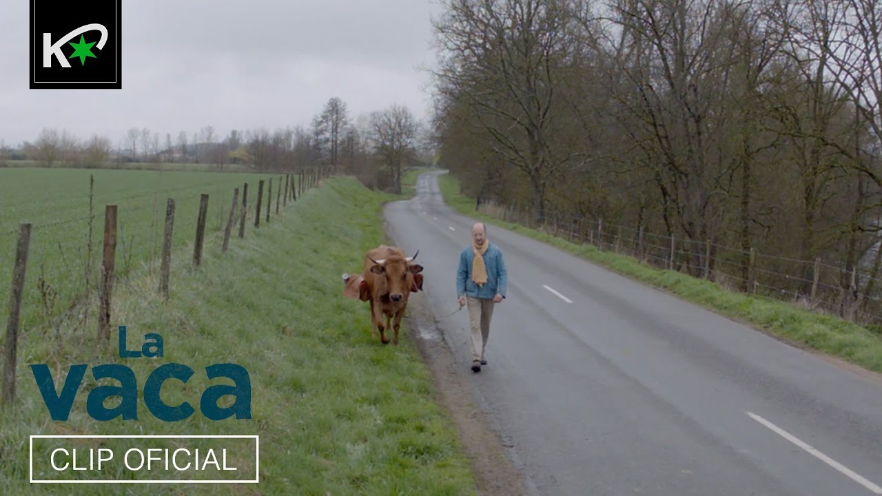 LA VACA | Trailer (Subtítulos en Español) | HD - YouTube