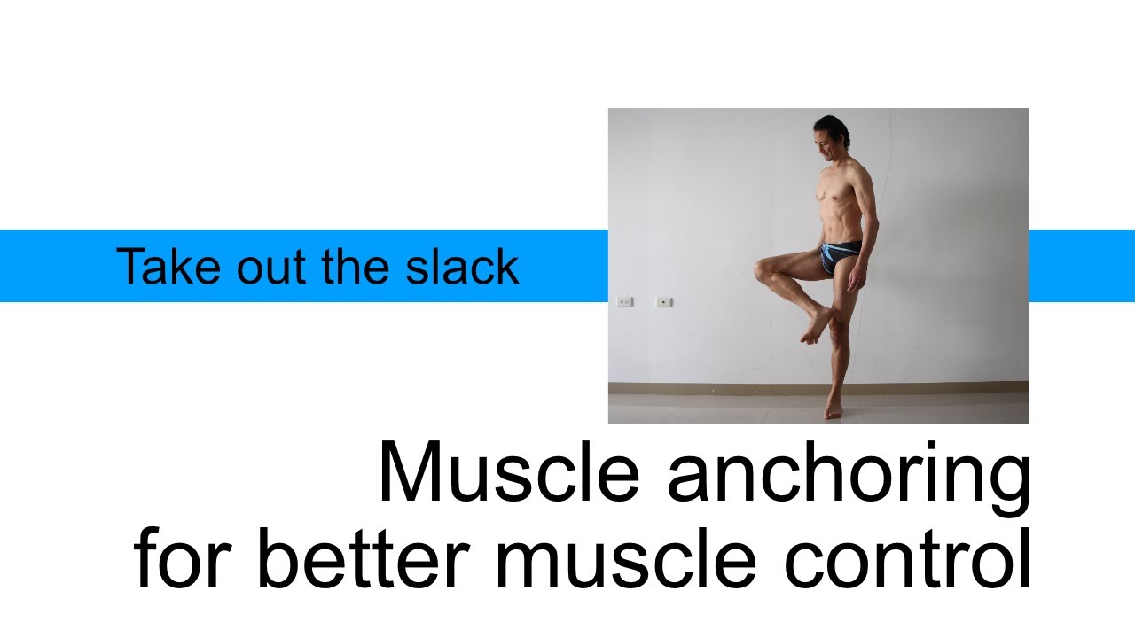 Muscle anchoring for better muscle control - YouTube