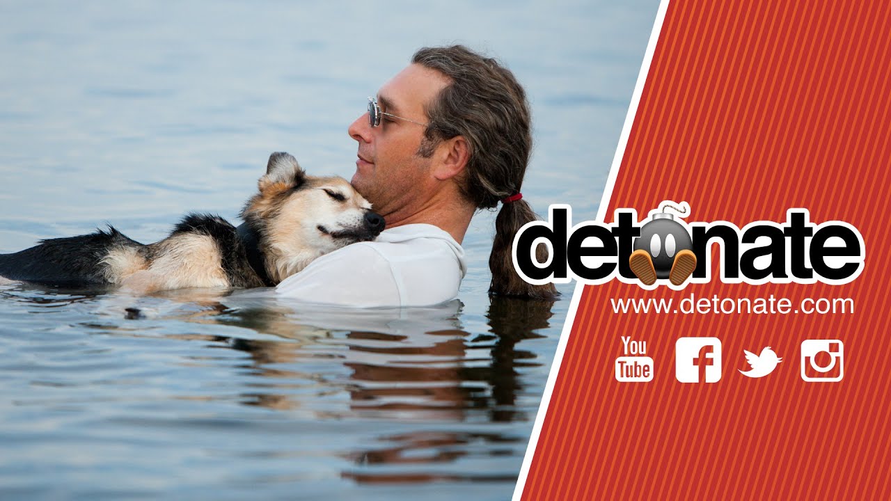 AMAZING DOG RESCUE - DETONATE - YouTube