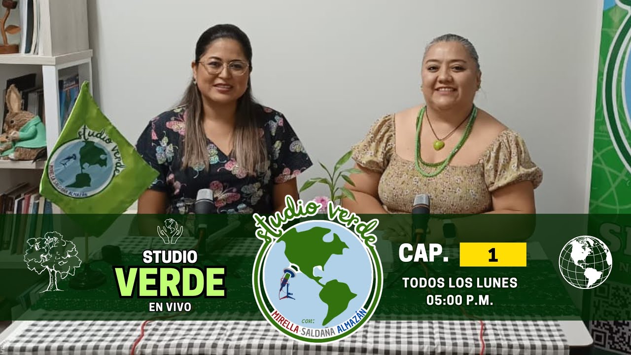 STUDIO VERDE: EN VIVO || Episodio 1 || Ecoamigables en el consultorio ...