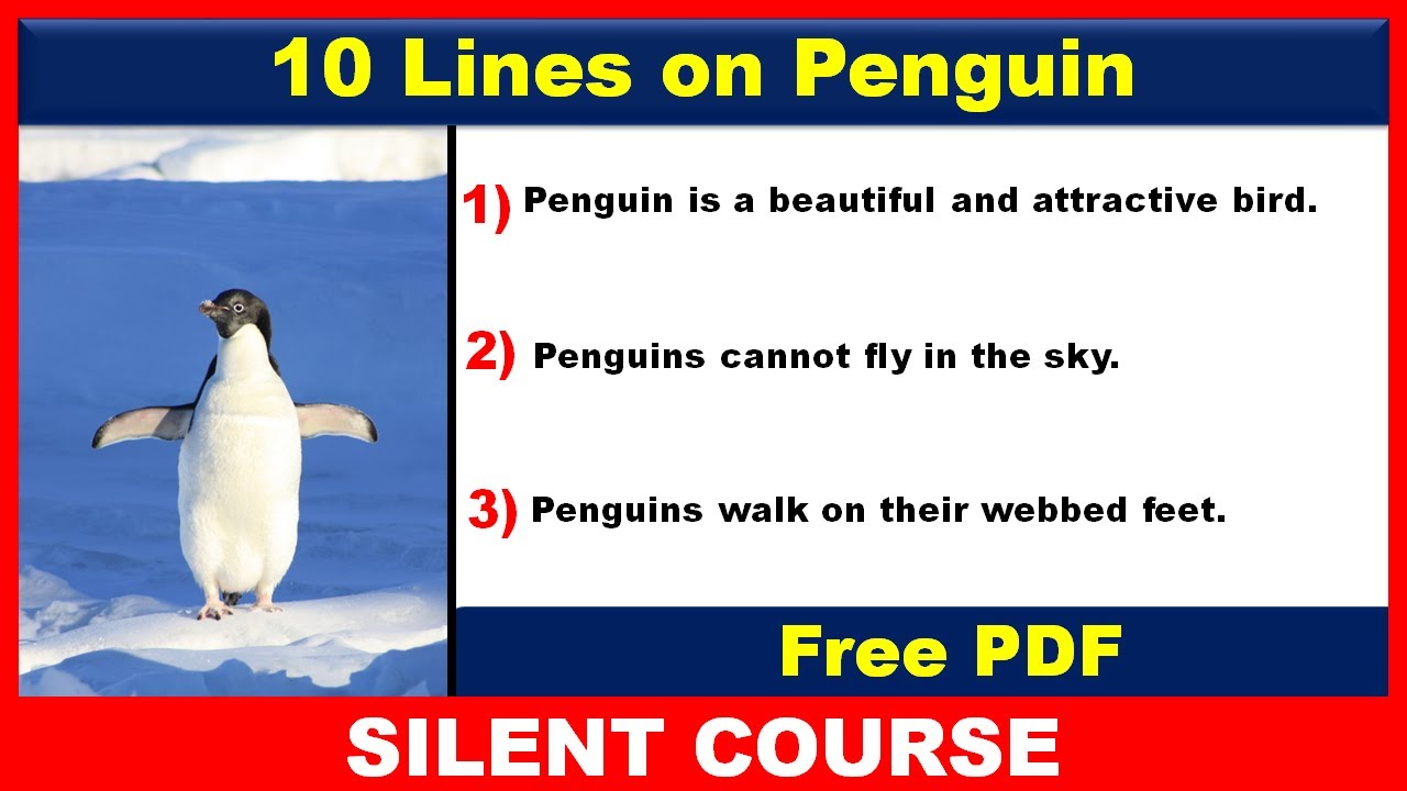 10 Lines on Penguin In English | Few Lines About Penguin | Some Lines ...