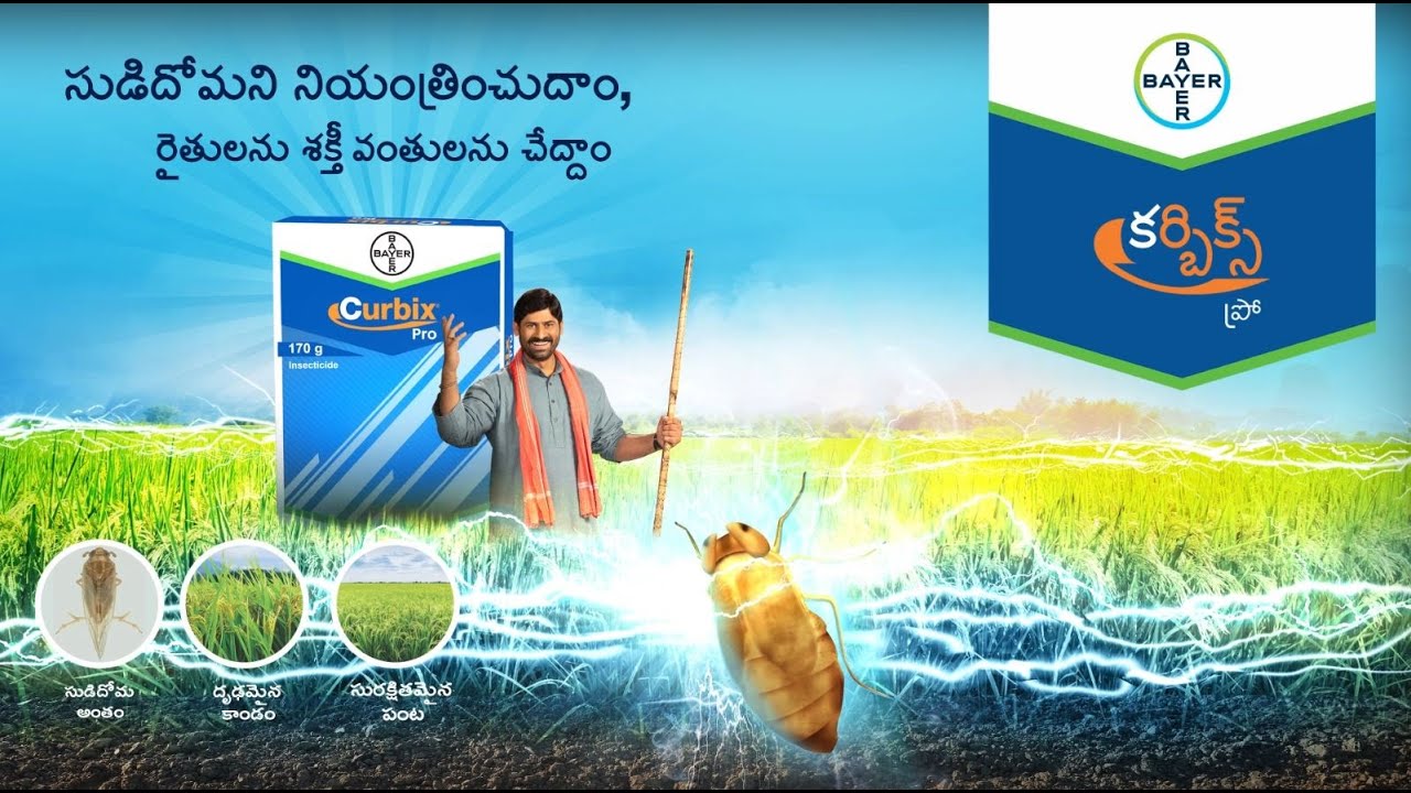 Brown plant hopper control: Curbix Pro Insecticide (Telugu) | Bayer ...