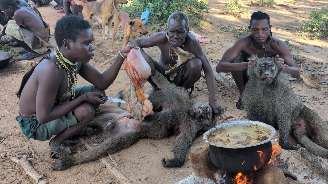 Discover Wild Baboon Monkey Eating, With Hadzabe tribe hunters Very ...