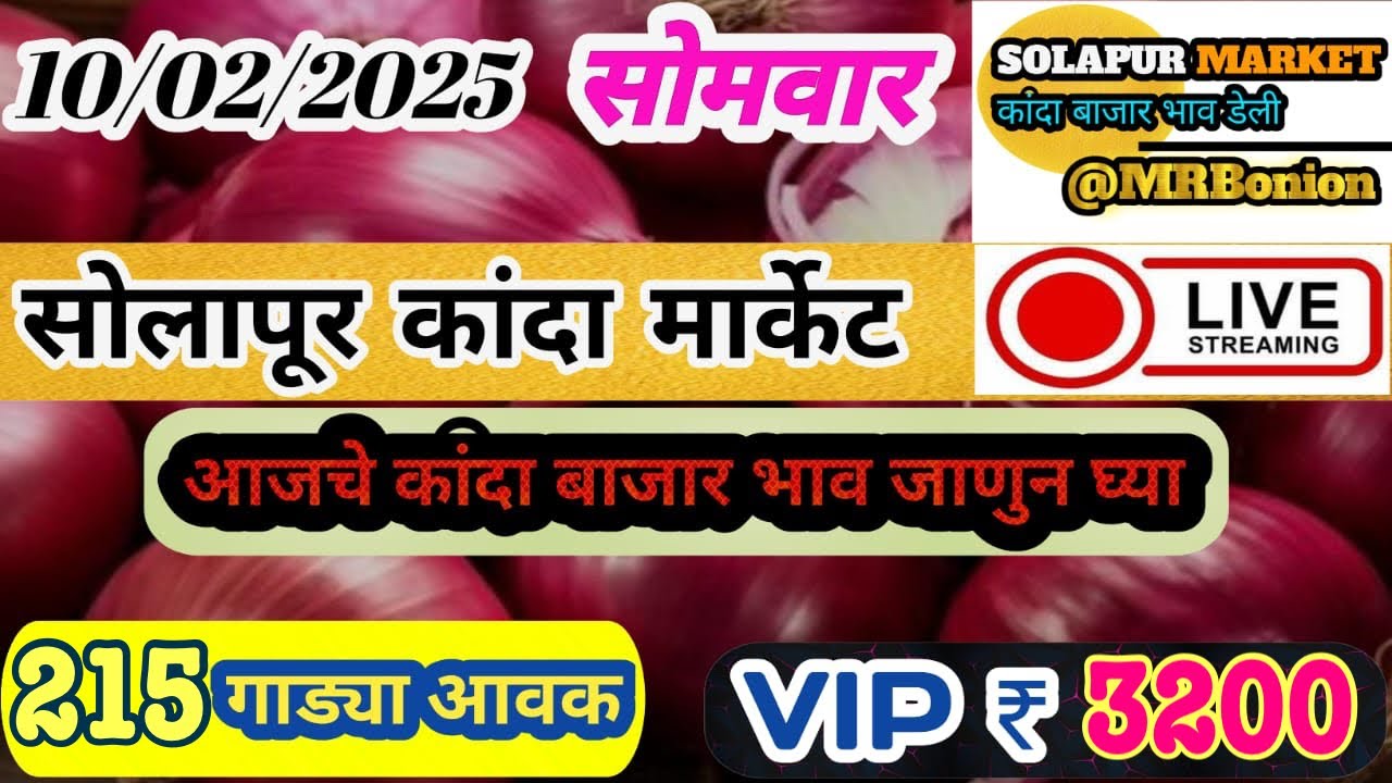 Solapur Kanda market ️VIP ₹3200 ️सोलापूर कांदा बाजार भाव🧅आजचे कांदा बाजार भाव - YouTube