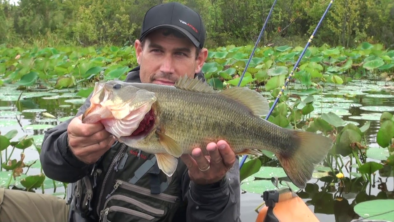 September Snakehead with John Hipsher - YouTube
