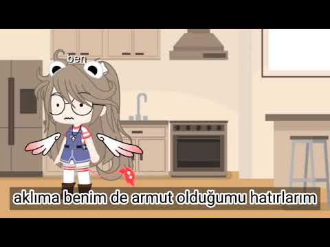 paparapara meme armut tarzı