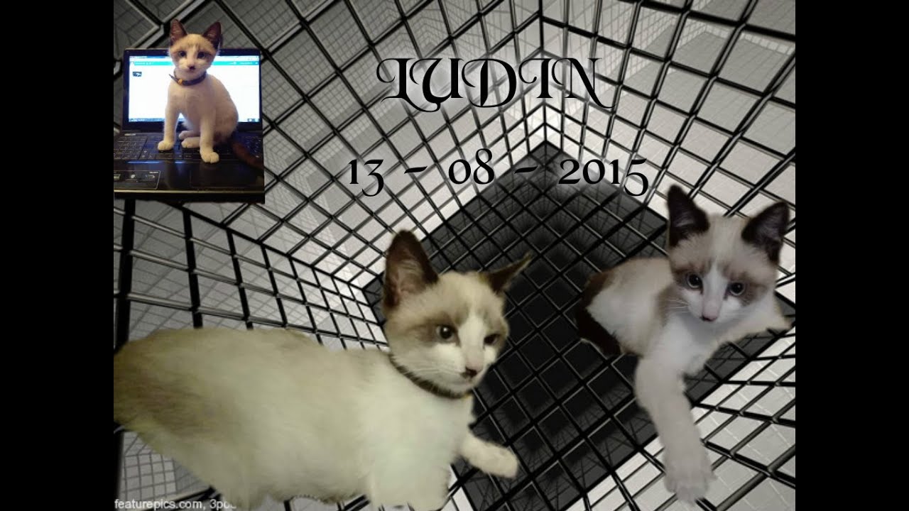 Ludin 13 08 2015 - YouTube