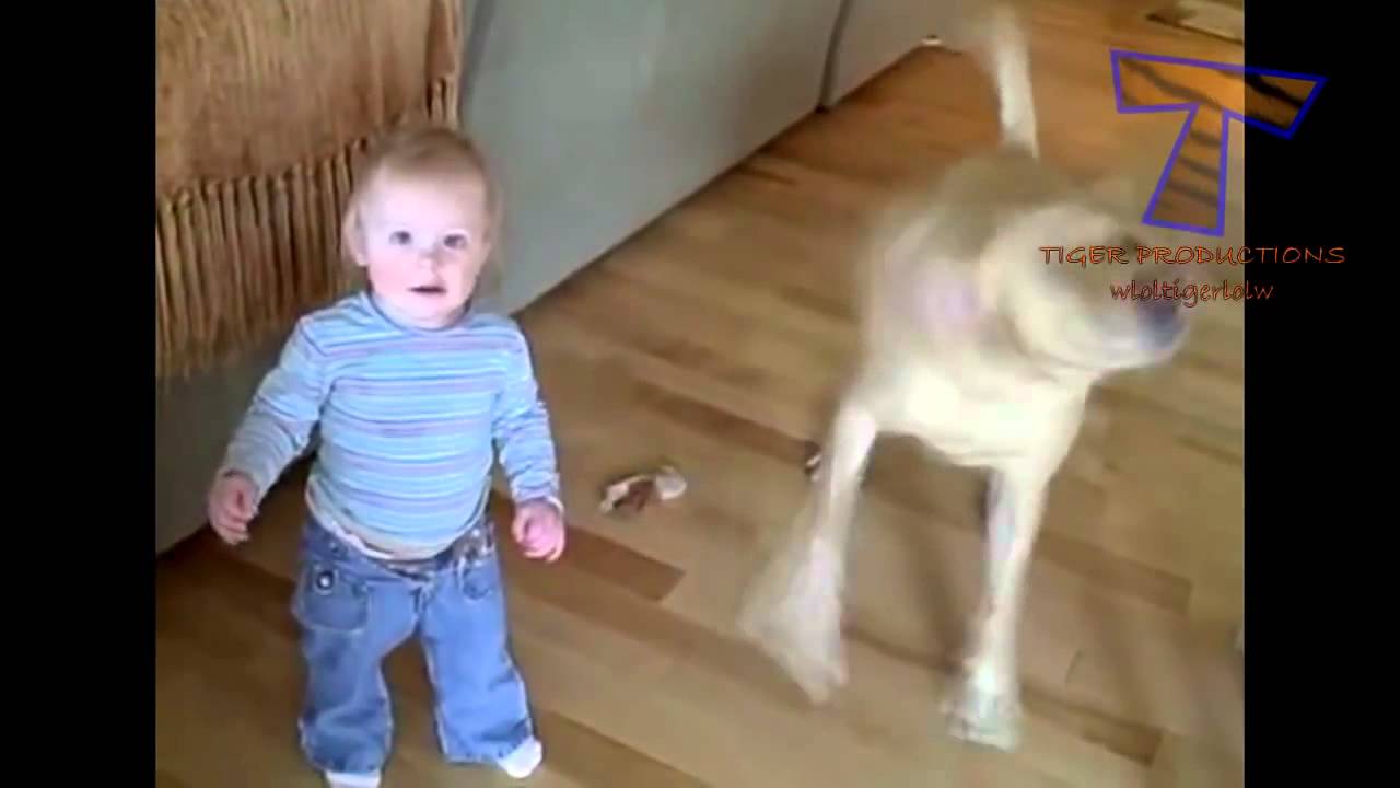 Funny babies imitating dogs Cute dog & baby compilation - YouTube