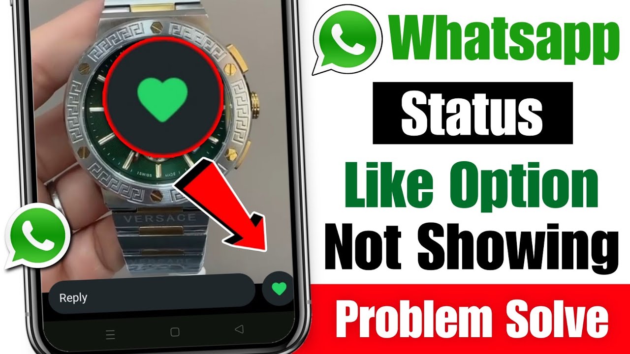 How To Fix Whatsapp Status Like Button Option Not Showing | Whatsapp ...
