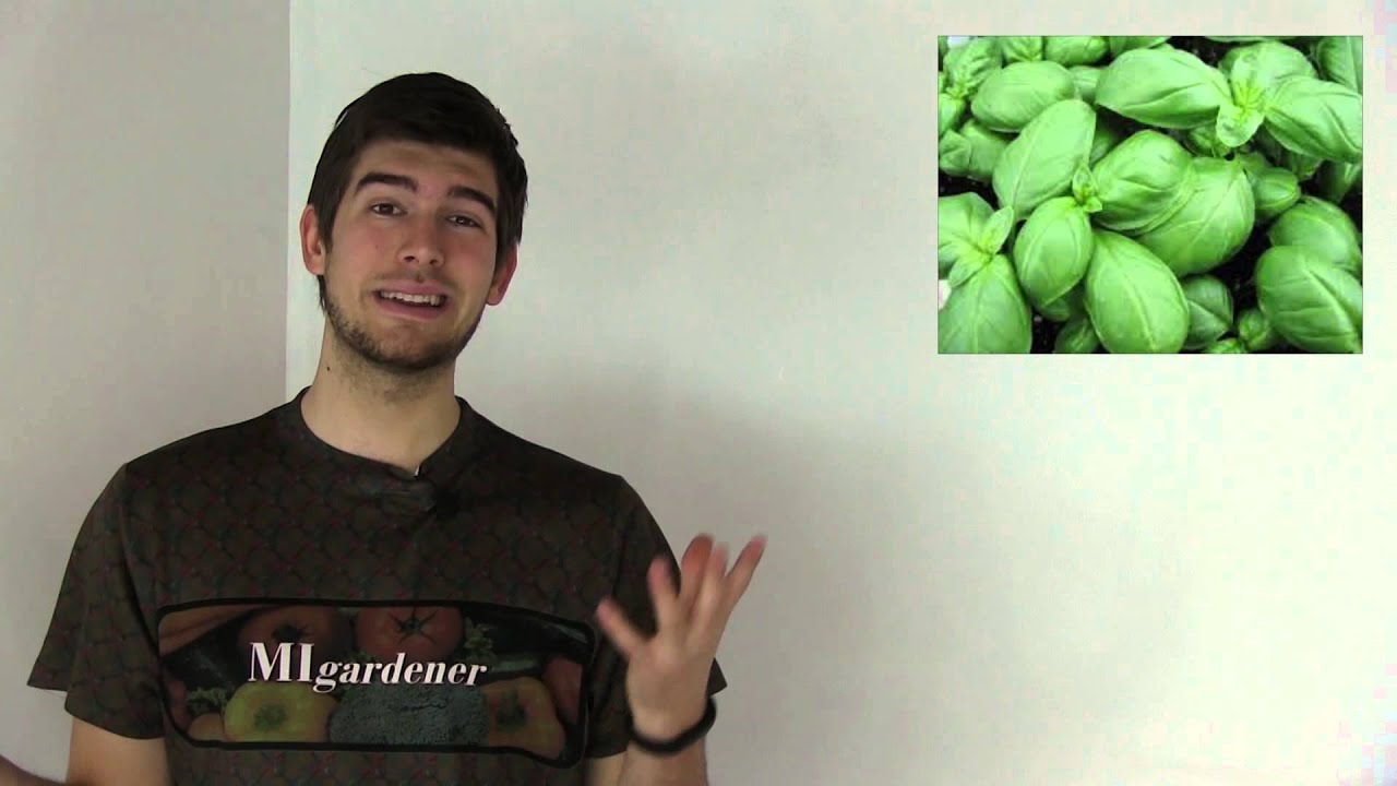 Understanding Annual, Biannual, and Perennial - YouTube