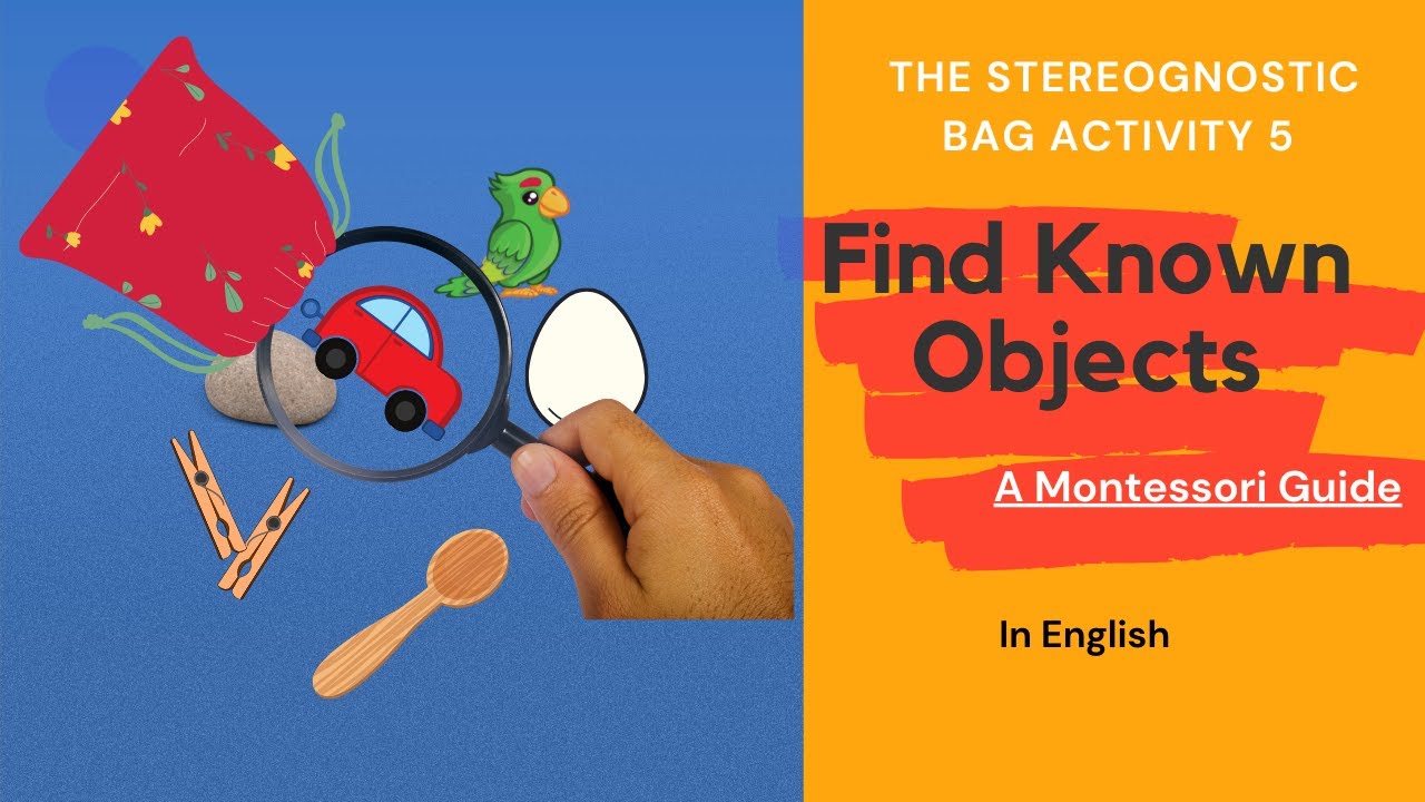 Finding Known Objects: Stereognostic (Mystery) Bag Activity5 ...