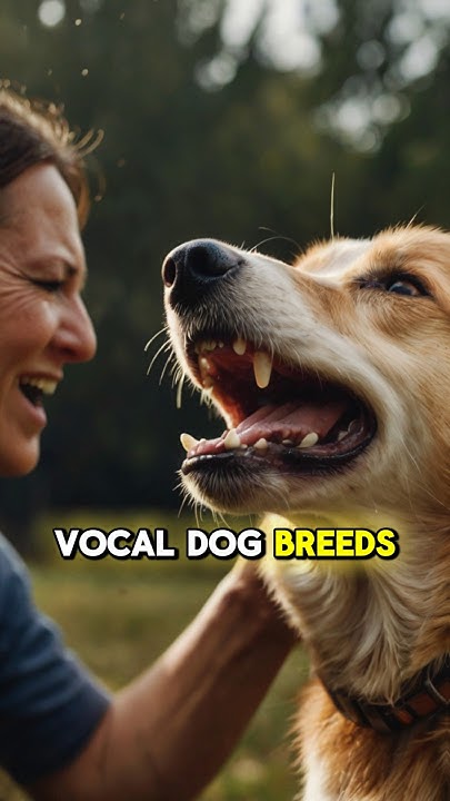 The Top 3 most vocal dog breeds! - YouTube