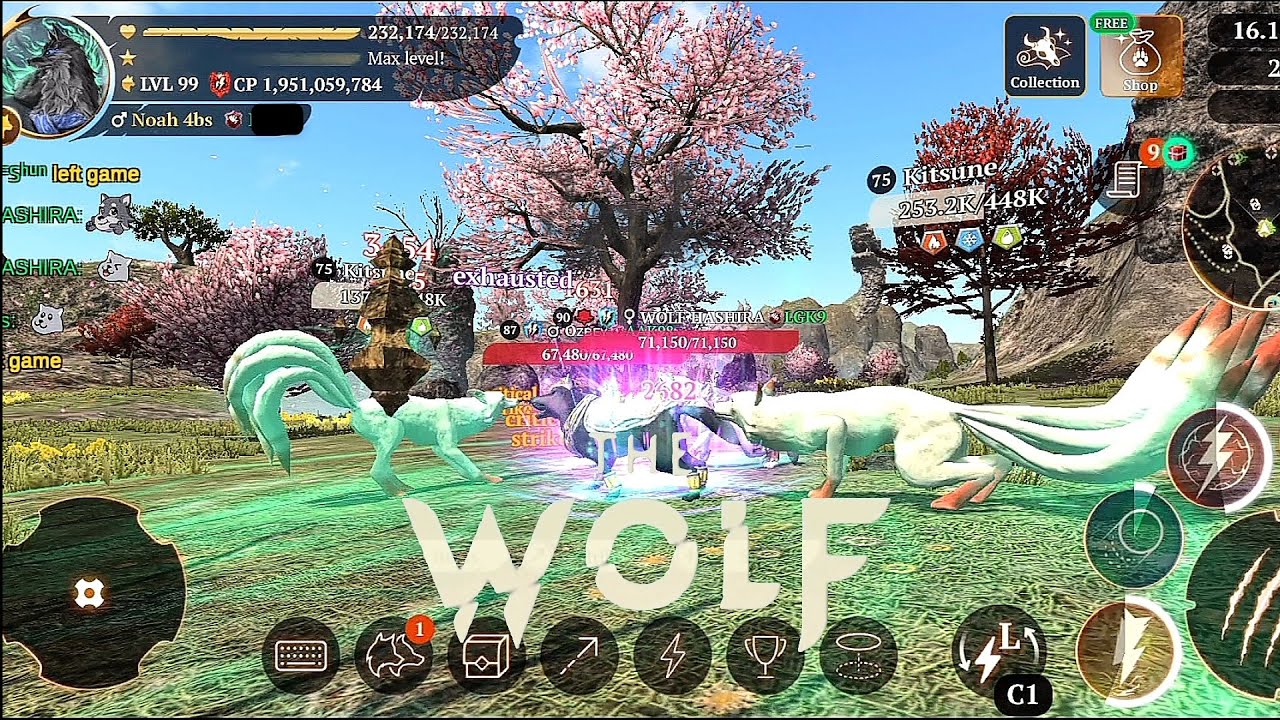 The wolf - Daily Coop - YouTube