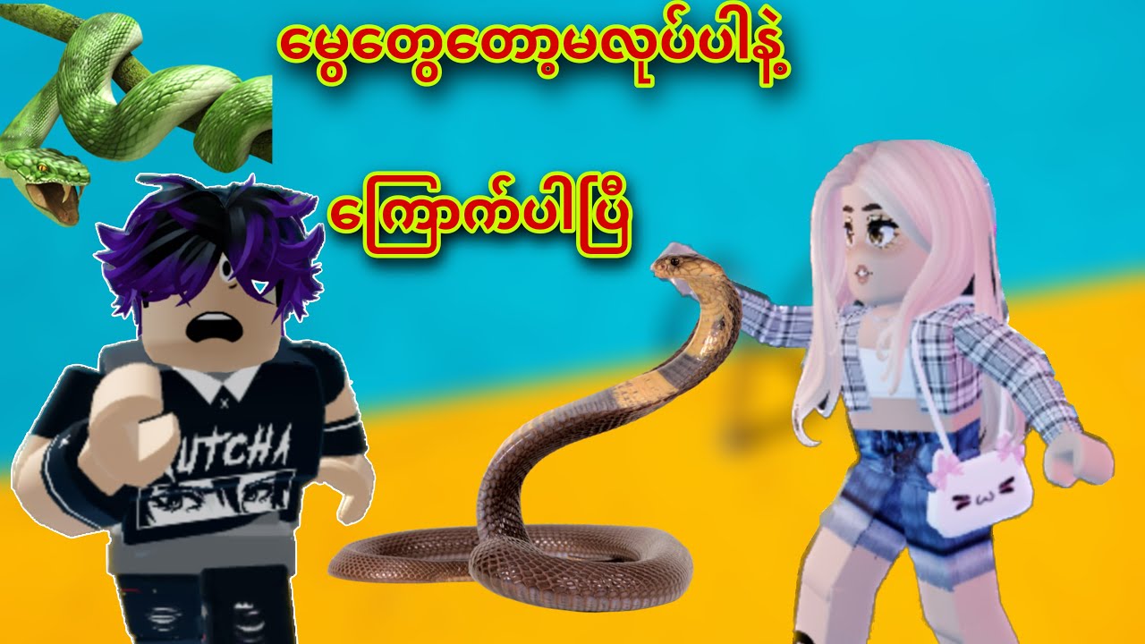 မွေနှစ်ကောင်ဖင်ထောင်ကကြပြီ…😂 Youtube
