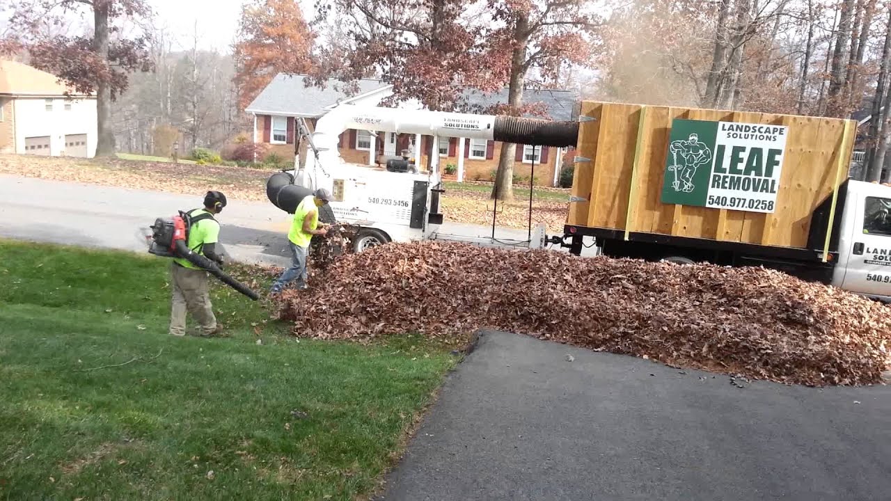 Leaf Removal YouTube leaf-removal-youtube
