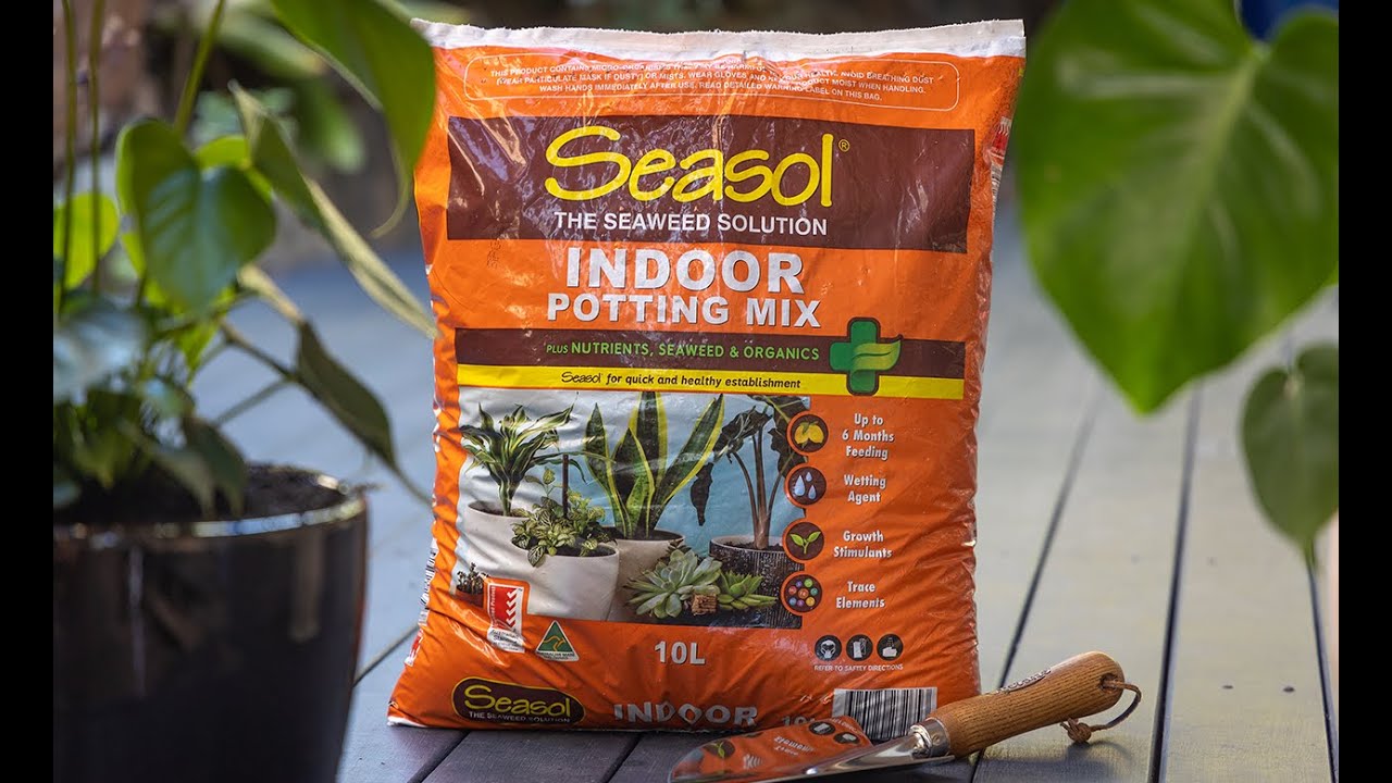 Seasol Indoor Potting Mix with Nigel Ruck - YouTube