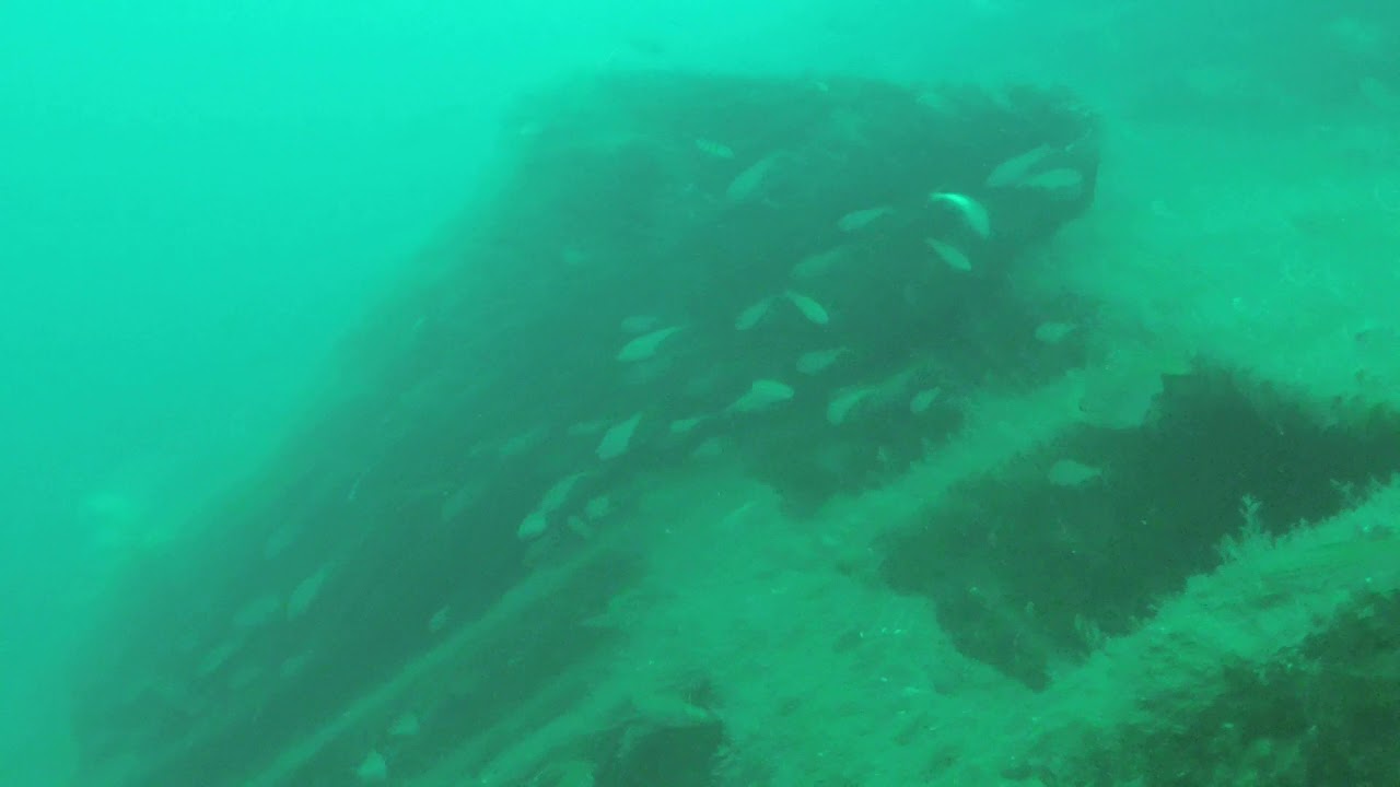 SMS Brummer - Scapa Flow - July 2019 - YouTube