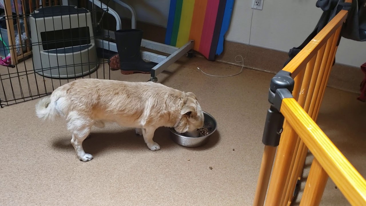 Low level resource guarding - YouTube