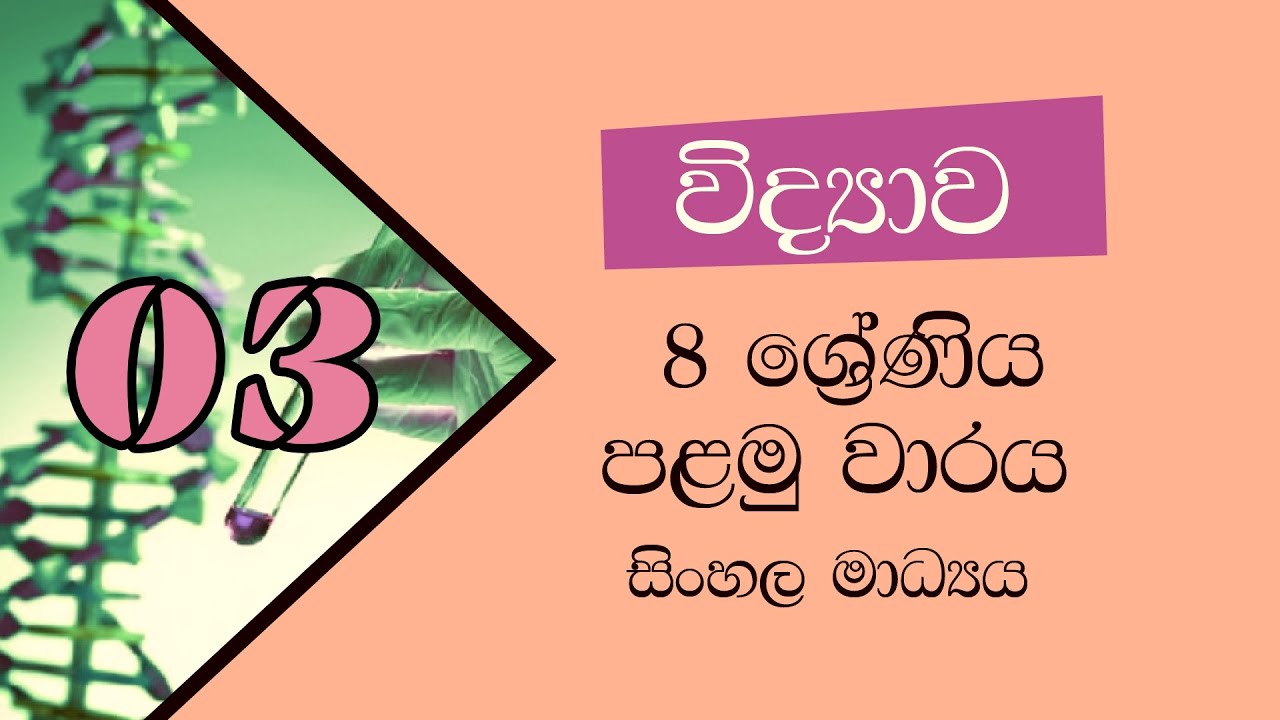 Grade 8 Science Lesson 3 - TeachMeOnline.net - YouTube