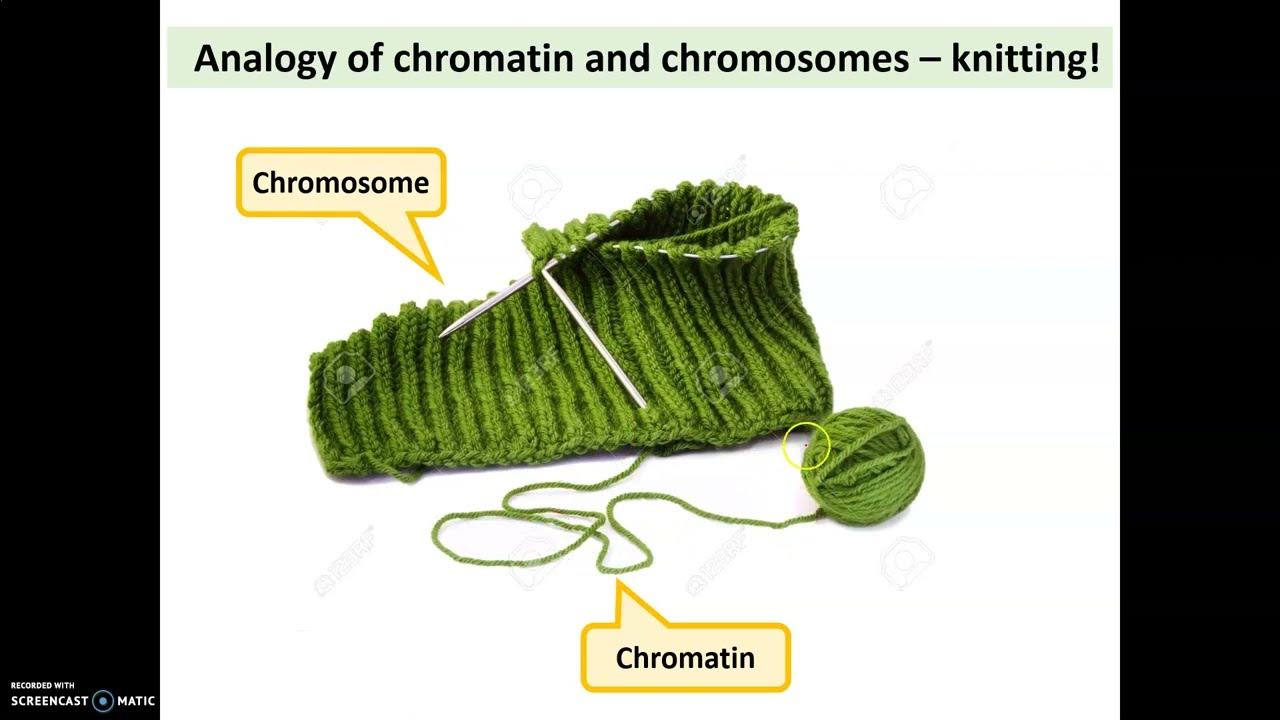 LECTURE CHAPTER 3 PART 3 - YouTube