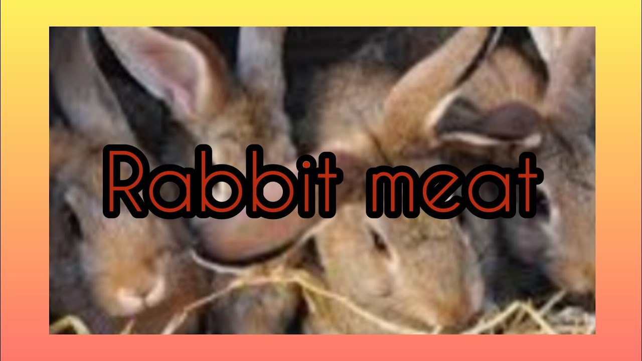 RABBIT MEAT - YouTube