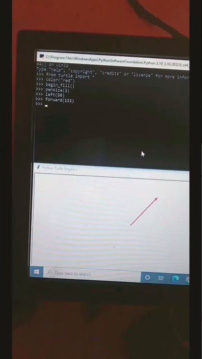 how to impress your crush then She purpose you by using python - YouTube