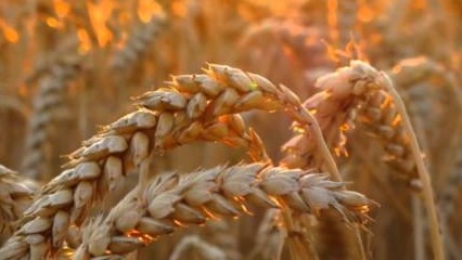 что может быть лучше России