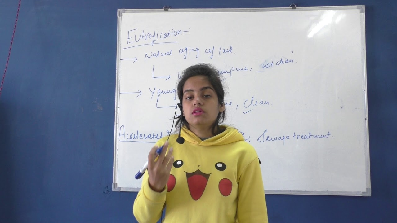 WHAT IS EUTROPHICATION CLASS 12 BIO NCERT YouTube what-is-eutrophication-class-12-bio-ncert-youtube