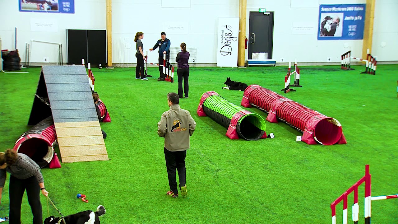 International Agility Training Week - Positional Cue In Jaakko Turn ...